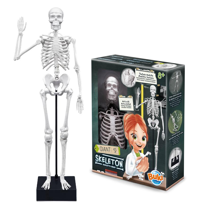 Esqueleto Humano Gigante Esqueleto Gigante De Halloween De 7 Pies Y 84