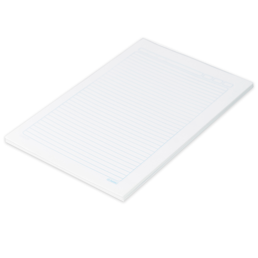 Papel Rayado A4 Papel Rayado A4 X 10 Pliegos | Offi
